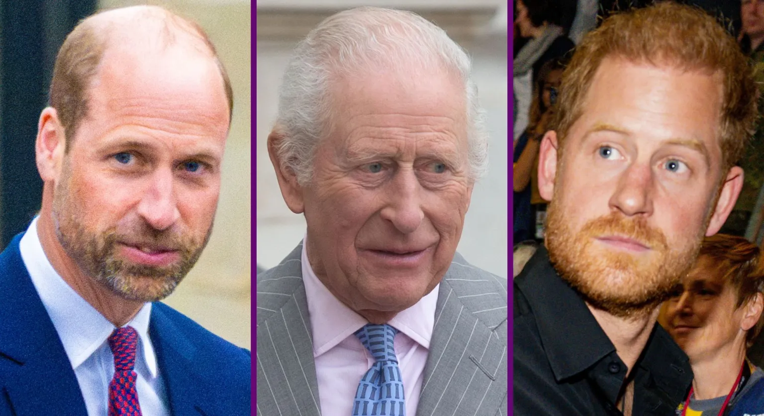 Desperate plea Prince William and Harry made to father King Charles ...