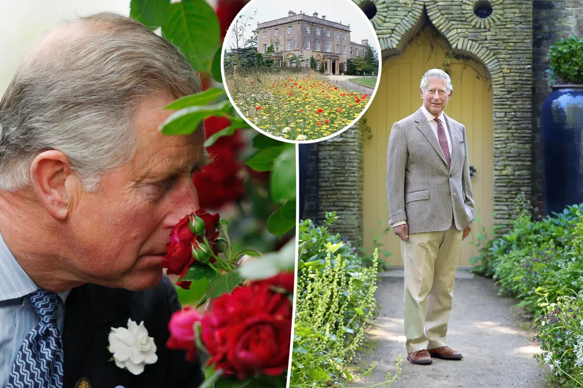 A Royal Storm Brews: King Charles Faces Shocking Allegations Inside His ...